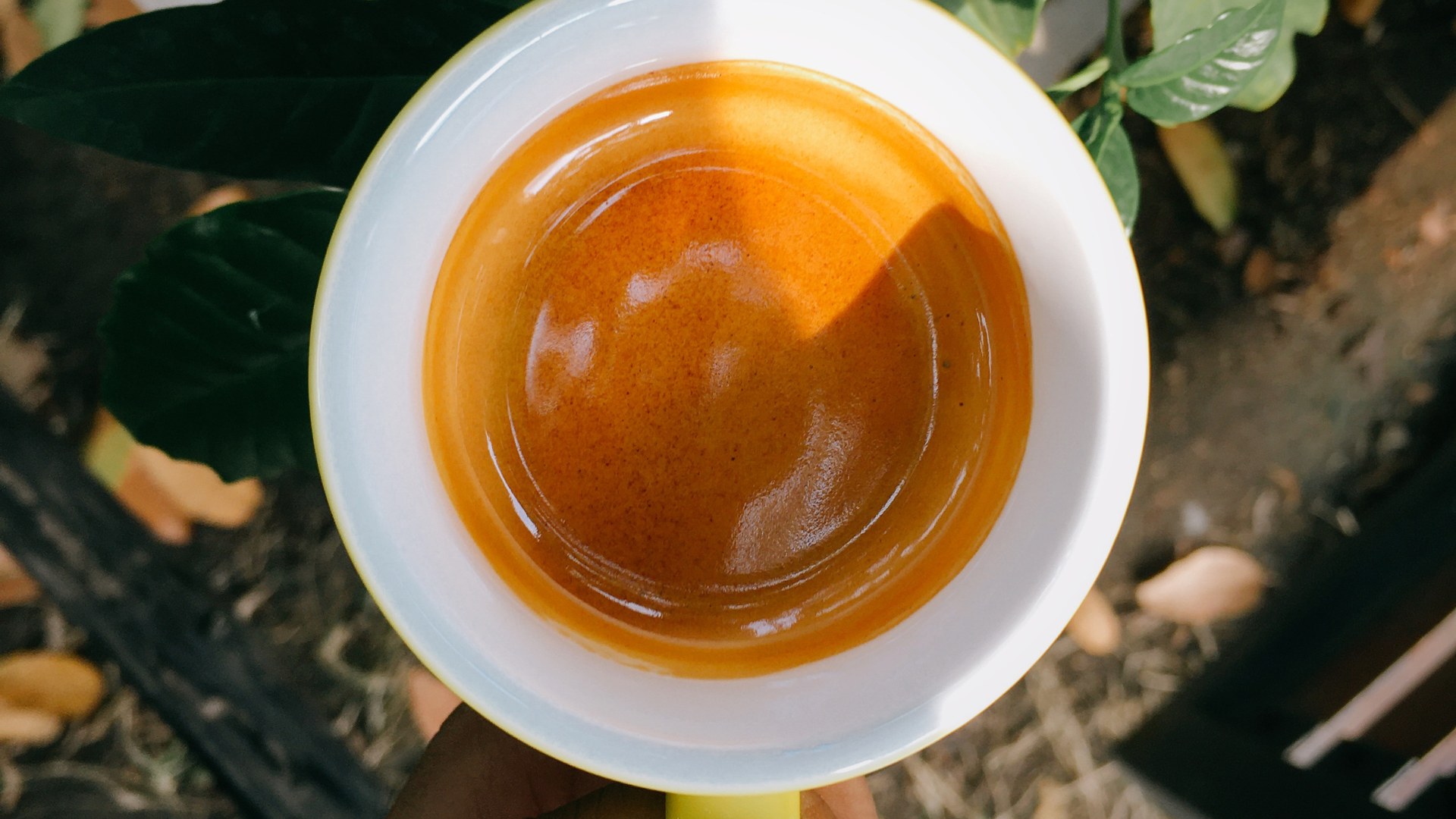 エスプレッソの飲み方｜美味しく飲むアレンジは？ミルクや砂糖を入れてエスプレッソを楽しもう | Capra Coffee